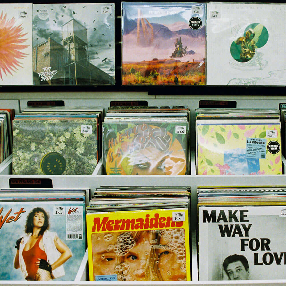 Flying Nun Record Store | Vinyl | CDs | New Zealand Music