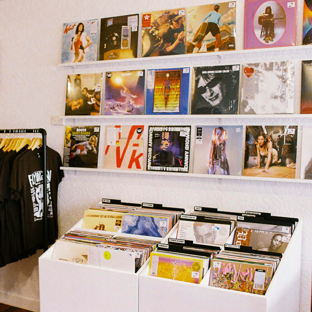 Flying Nun Record Store | Vinyl | CDs | NZ Music