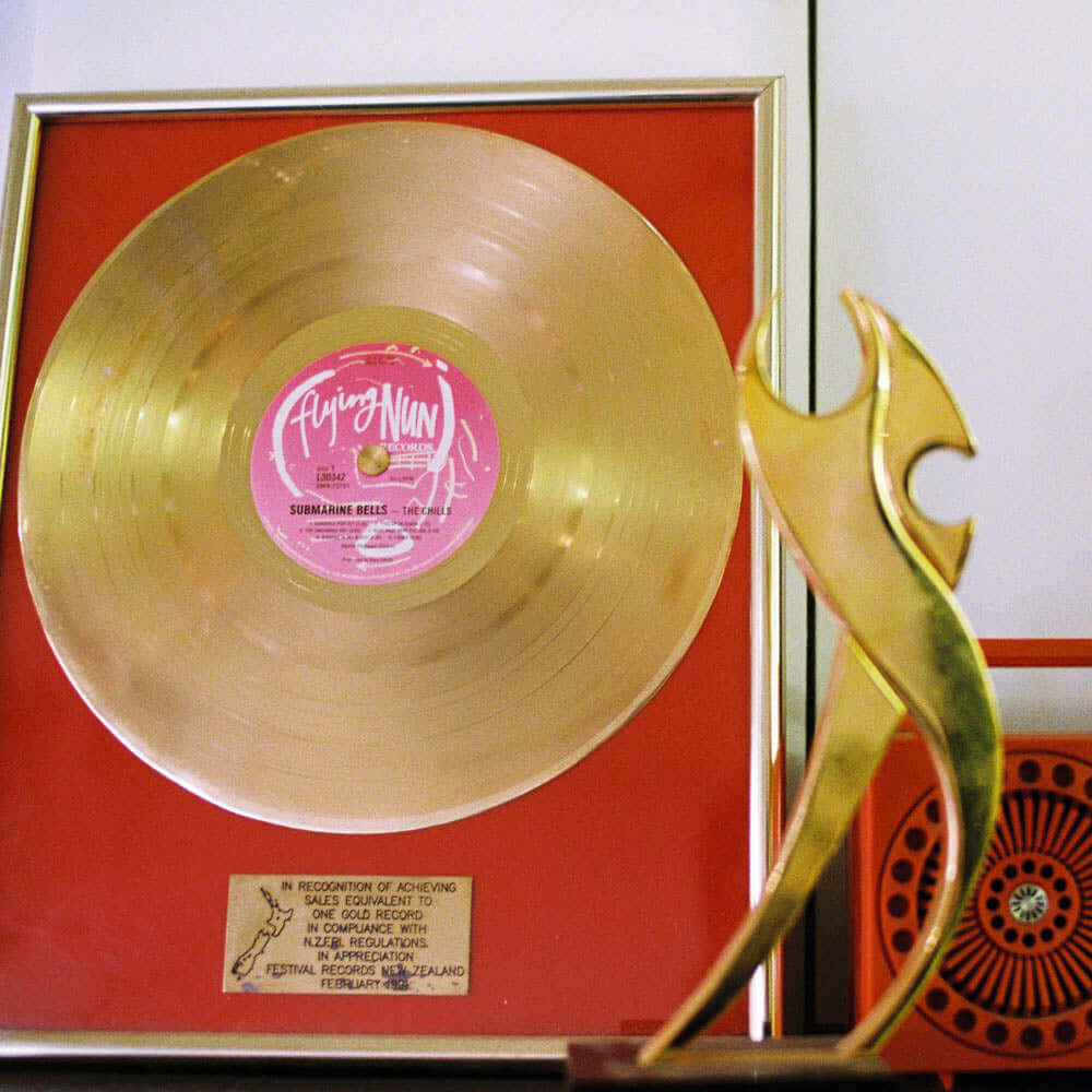 Flying Nun Record Store | Vinyl | CDs | NZ Music