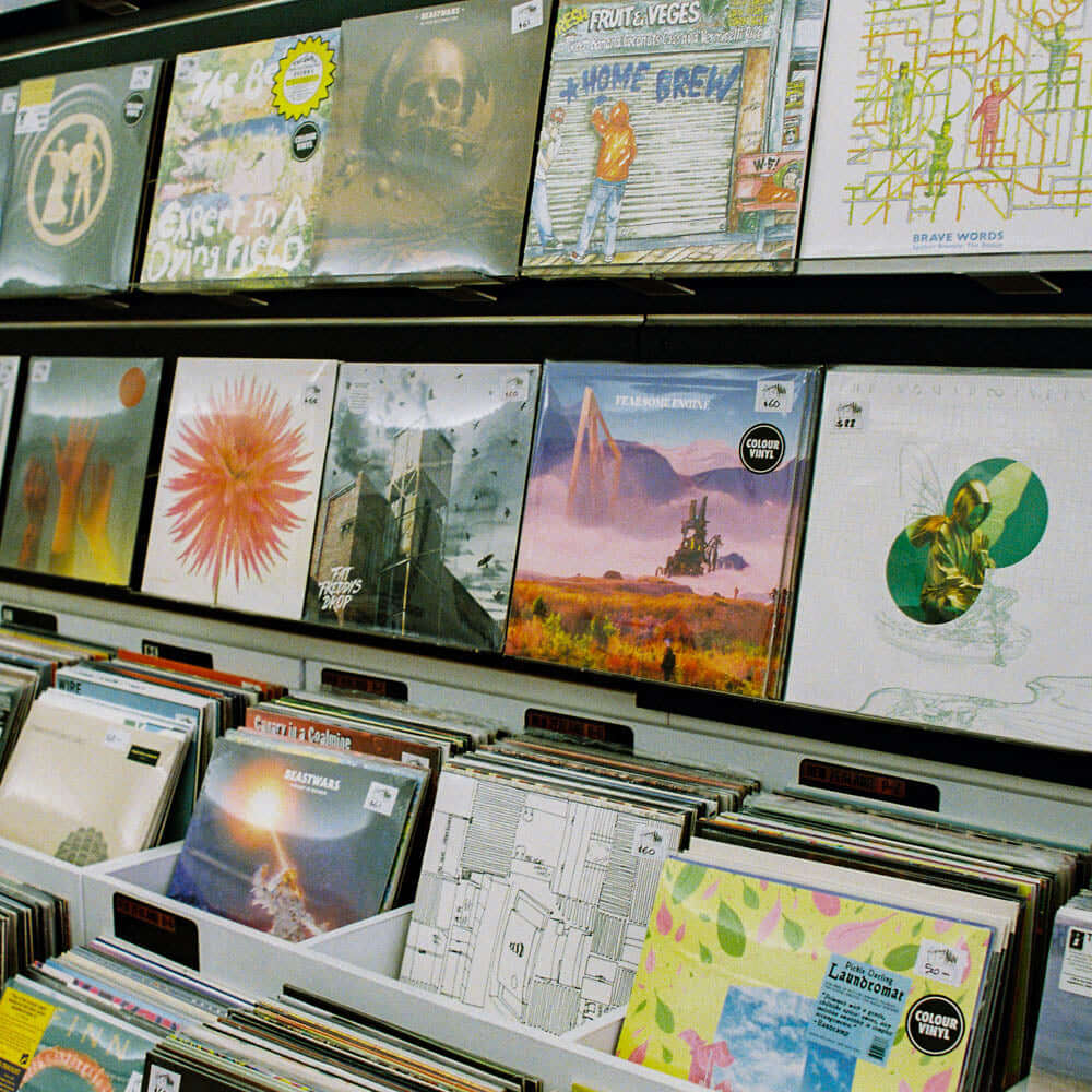 Flying Nun Record Store | Vinyl | CDs | NZ Music