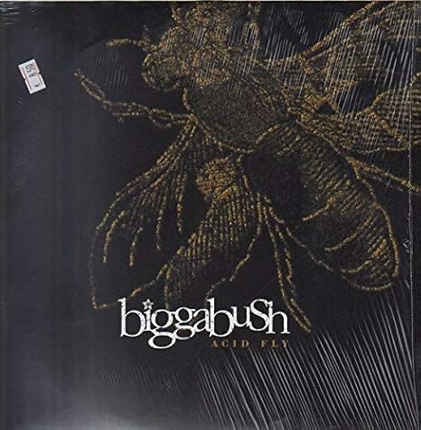Biggabush - Acid Fly 12" (SECONDHAND)