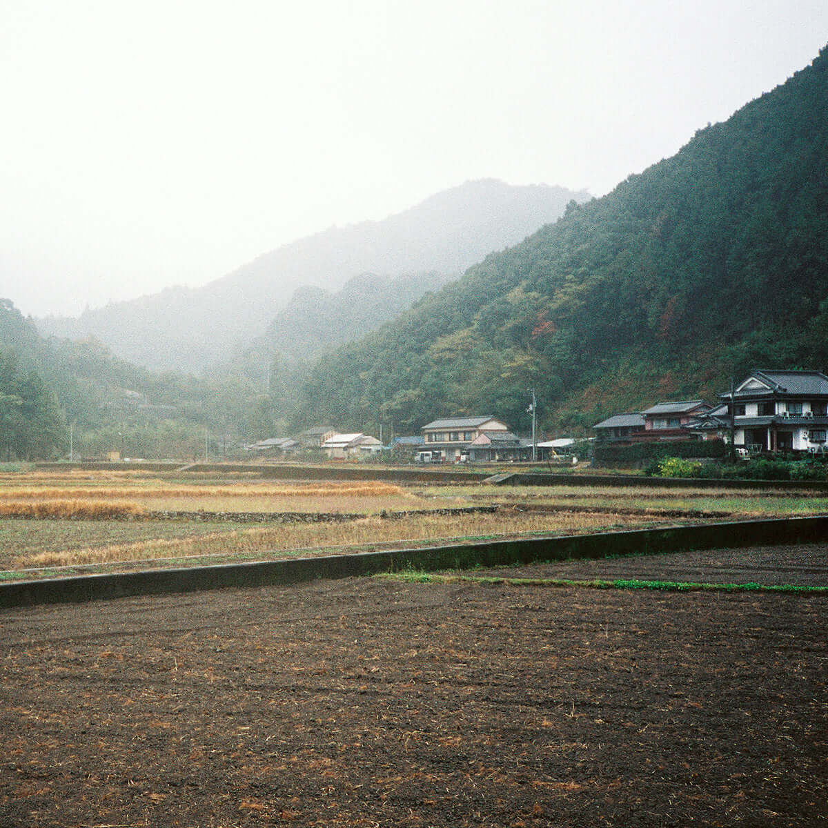 YORISHIRO - II | Buy the Cassette from Flying Nun Records