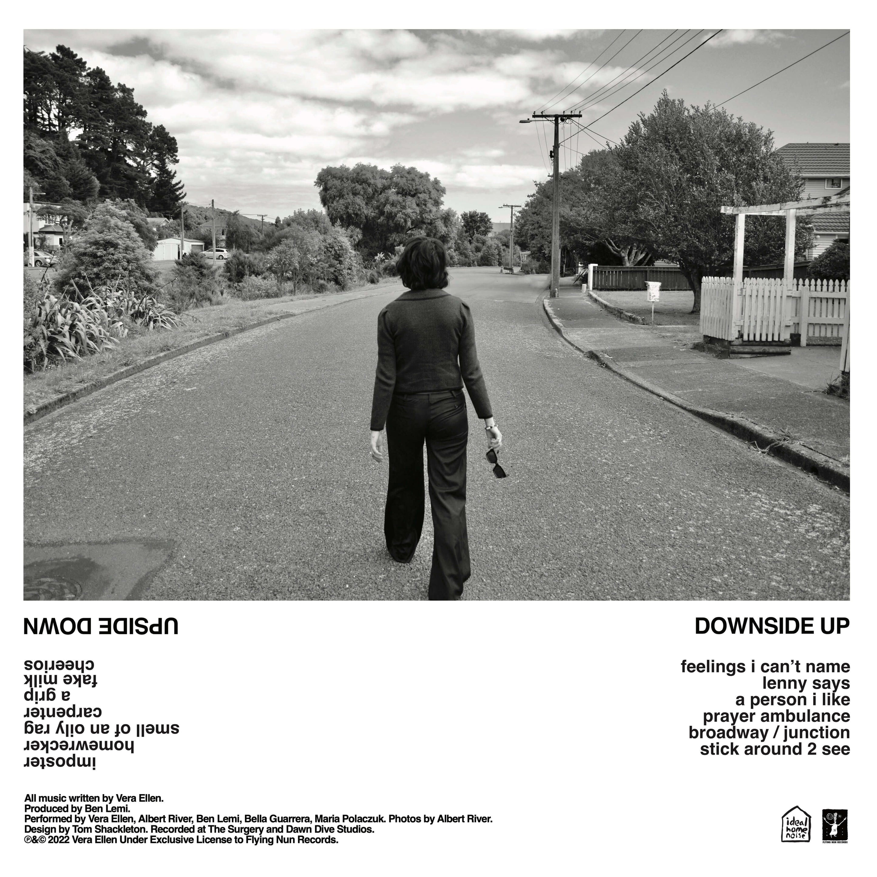 Flying Nun Record Store | Label | Vinyl | LPs | Merch | CDs | Books